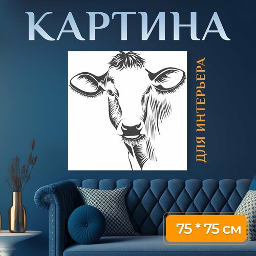 Картина на холсте "Голова, корова, крупного рогатого скота" на подрамнике 75х75 см. для интерьера