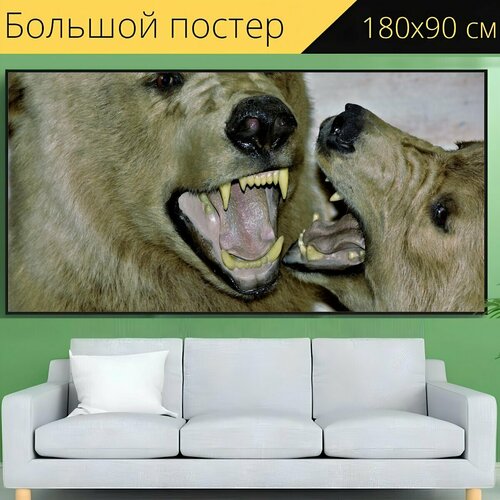 Большой постер "Полярный, медведи гризли, борьба" 180 x 90 см. для интерьера