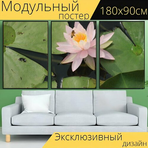 Модульный постер "Водяная лилия, цветок, пчела" 180 x 90 см. для интерьера