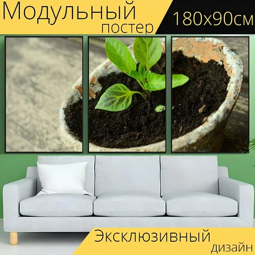 Модульный постер "Маленькие растения, молодое растение, небольшой завод" 180 x 90 см. для интерьера