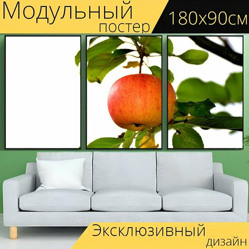 Модульный постер "Яблоко, яблоня, золото" 180 x 90 см. для интерьера