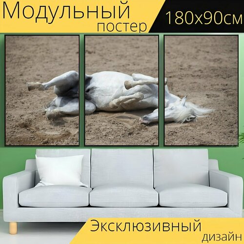 Модульный постер "Лошадь, животное, лошади" 180 x 90 см. для интерьера