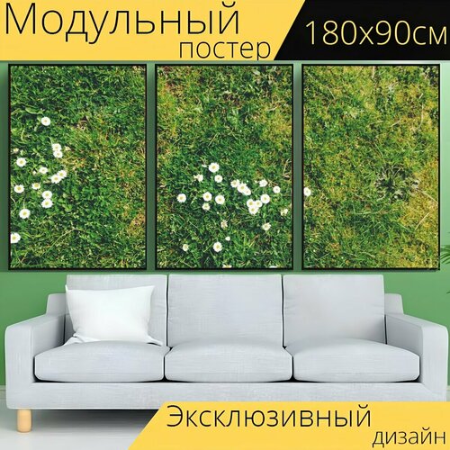 Модульный постер "Трава, ромашки, маргаритка" 180 x 90 см. для интерьера