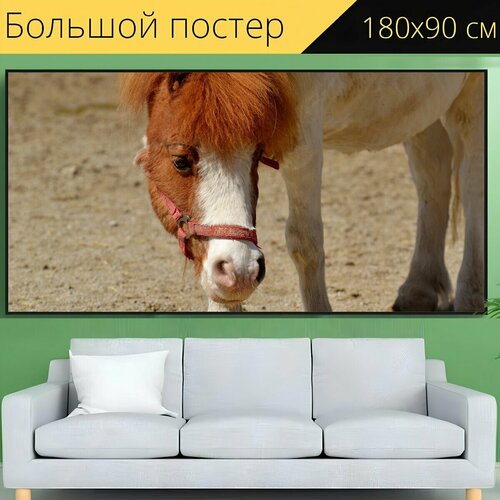 Большой постер "Пони, лошадь, маленькая лошадь" 180 x 90 см. для интерьера