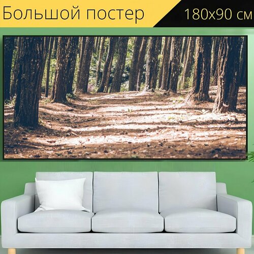 Большой постер "Сосновые леса, джокьякарта, природа" 180 x 90 см. для интерьера