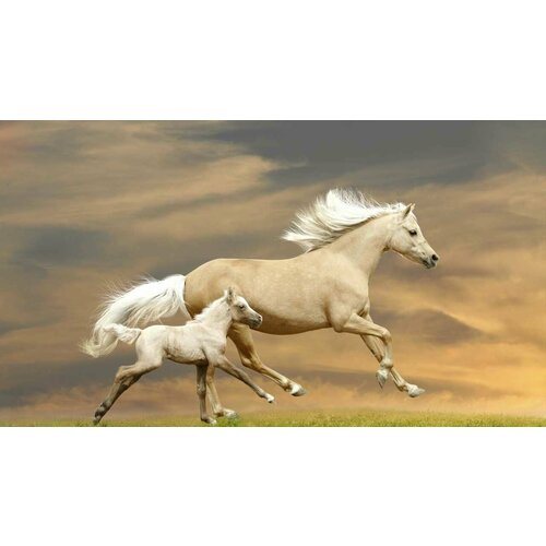 Картина на холсте 60x110 LinxOne "Жеребёнок бег кони бежит лошадь" интерьерная для дома / на стену / на кухню / с подрамником