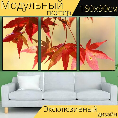 Модульный постер "Японский клен, листья, осень" 180 x 90 см. для интерьера