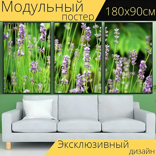 Модульный постер "Сад, цветок, фиолетовый" 180 x 90 см. для интерьера