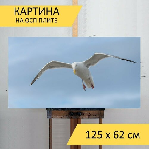 Картина на ОСП 125х62 см. "Чайка, птица, крылья" горизонтальная, для интерьера, с креплениями