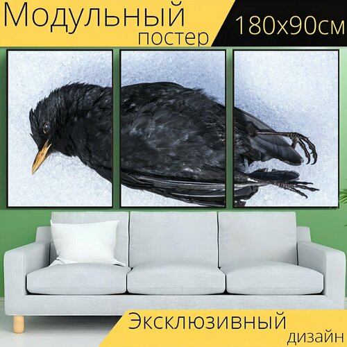Модульный постер "Черный дрозд, птица, зима" 180 x 90 см. для интерьера