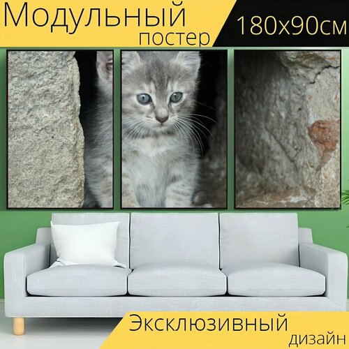 Модульный постер "Котенок, кошка, кошачий" 180 x 90 см. для интерьера