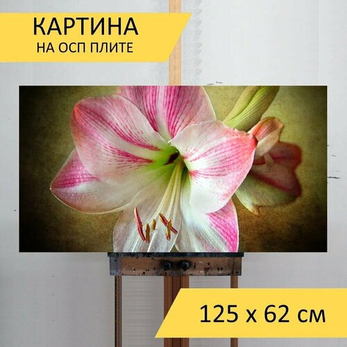 Картина на ОСП 125х62 см. "Амариллис, цветок, цвести" горизонтальная, для интерьера, с креплениями