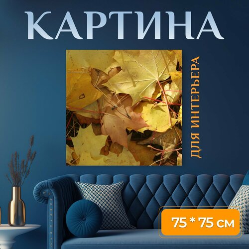Картина на холсте "Листья, падение, природа" на подрамнике 75х75 см. для интерьера