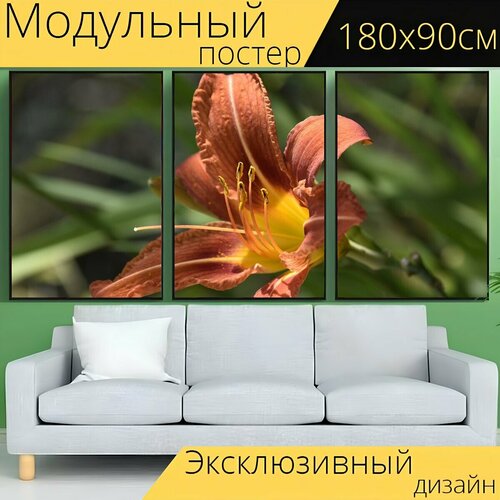 Модульный постер "Цветок, цветок лилии, лилии цвет оранжевый" 180 x 90 см. для интерьера