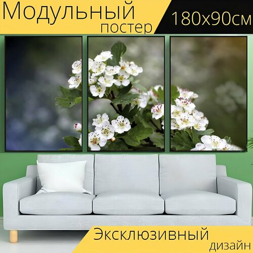 Модульный постер "Цветок, цветы, природа" 180 x 90 см. для интерьера