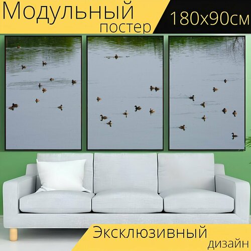 Модульный постер "Птицы, утки, озеро" 180 x 90 см. для интерьера