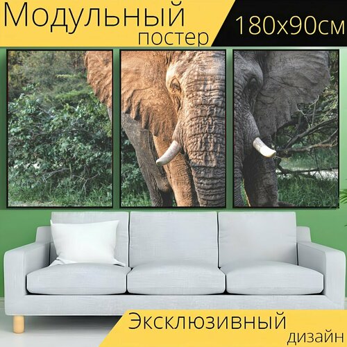 Модульный постер "Слон, африка, дикий" 180 x 90 см. для интерьера