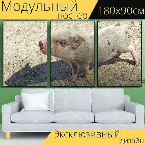Модульный постер "Поросенок, свинья, культ" 180 x 90 см. для интерьера