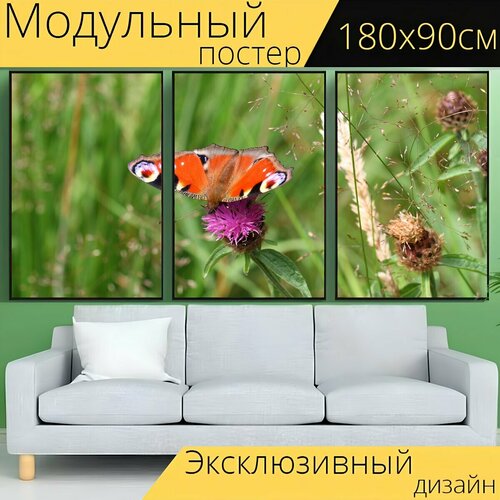 Модульный постер "Природа, насекомое, бабочки" 180 x 90 см. для интерьера