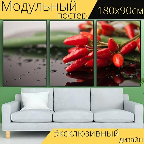 Модульный постер "Перец чили, овощи, специи" 180 x 90 см. для интерьера
