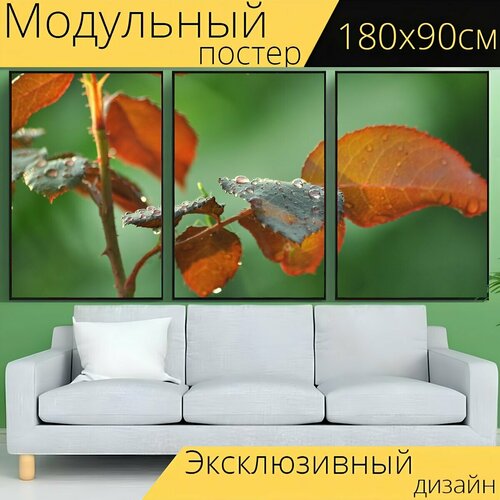 Модульный постер "Роса, лист, сад" 180 x 90 см. для интерьера