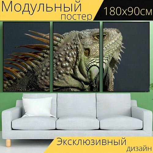 Модульный постер "Игуана, ящерица, рептилия" 180 x 90 см. для интерьера