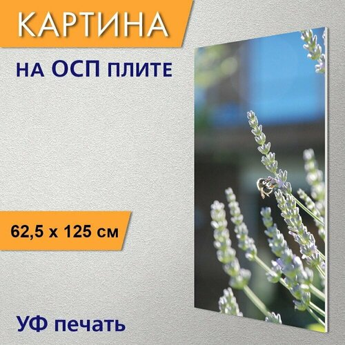 Вертикальная картина на ОСП "Лаванда, цвести, пчела" 62x125 см. для интерьериа