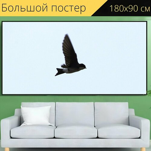 Большой постер "Дом мартин, птица, летающий" 180 x 90 см. для интерьера