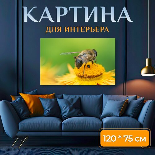 Картина на холсте "Пчела, цветок, насекомое" на подрамнике 120х75 см. для интерьера