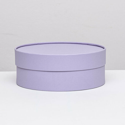 Подарочная коробка "Нежность" бледно-фиолетоввая, завальцованная без окна, 20,5 х7 см (комплект из 4 шт)