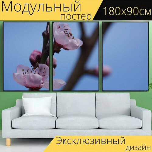Модульный постер "Цветение персика, расцветает, весна" 180 x 90 см. для интерьера