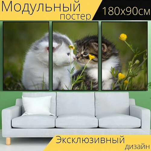 Модульный постер "Котенок, симпатичные, природа" 180 x 90 см. для интерьера