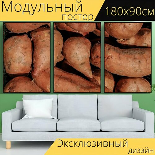 Модульный постер "Сладкая картошка, картошка, здоровый" 180 x 90 см. для интерьера