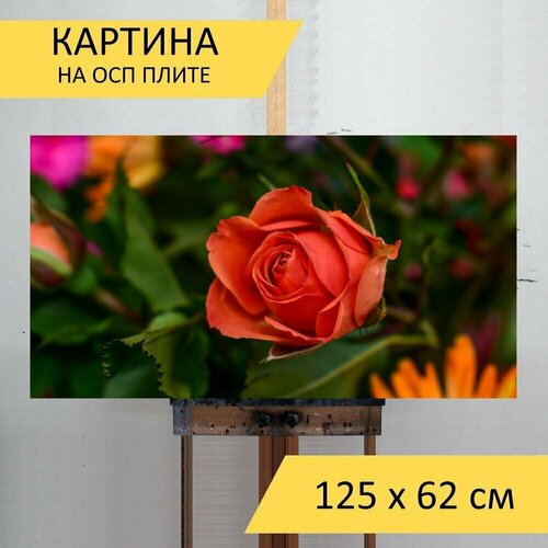 Картина на ОСП 125х62 см. "Цветок, роза, природа" горизонтальная, для интерьера, с креплениями