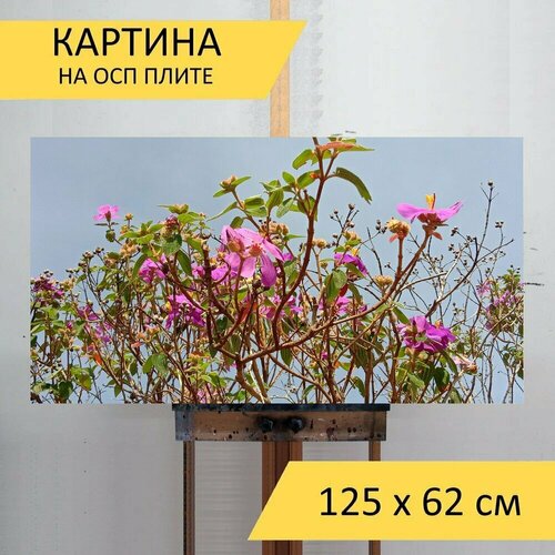 Картина на ОСП 125х62 см. "Цветок, розовый цветок, весна" горизонтальная, для интерьера, с креплениями