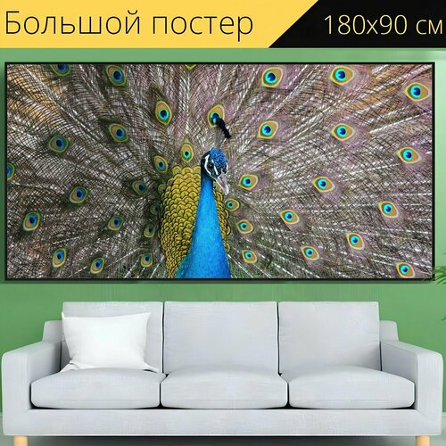 Большой постер "Животное, птица, павлин" 180 x 90 см. для интерьера