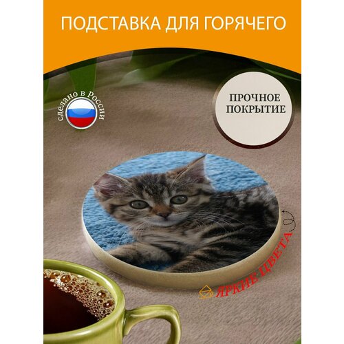 Подставка под горячее "Котенок, чистить уши, скумбрия" 10 см. из блого мрамора