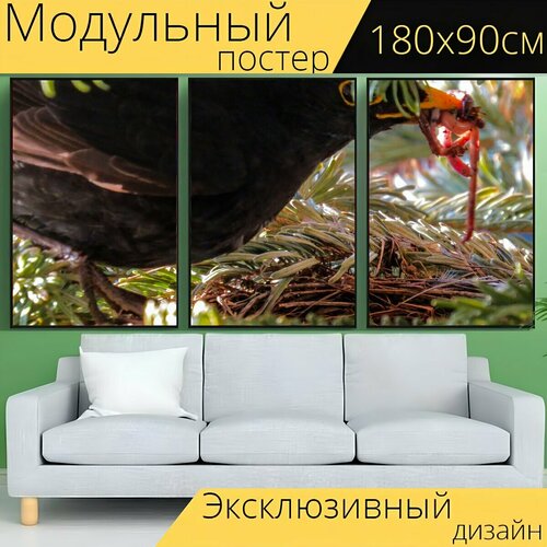 Модульный постер "Дикая природа, птица, черный дрозд" 180 x 90 см. для интерьера