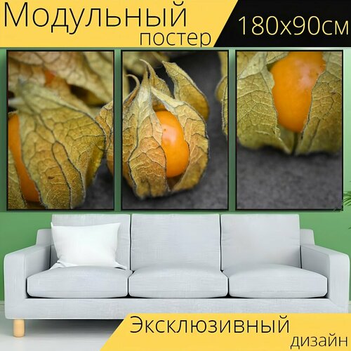 Модульный постер "Физалис, фрукты, ягода" 180 x 90 см. для интерьера