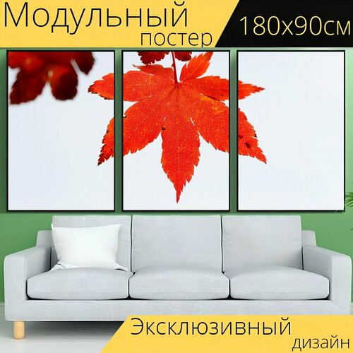 Модульный постер "Осенние листья, кленовый лист, кленовое дерево" 180 x 90 см. для интерьера