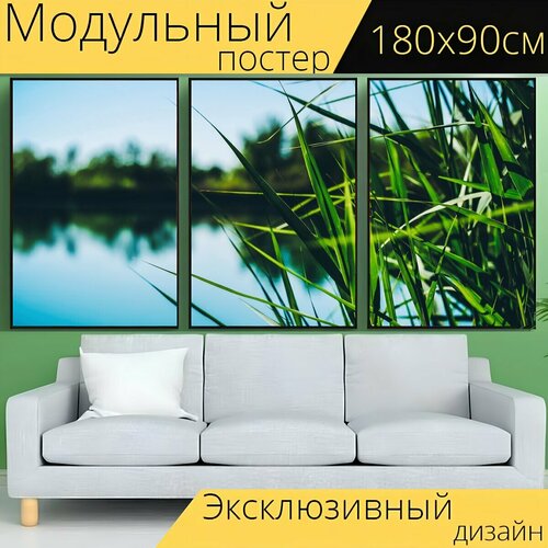 Модульный постер "Тростник, озеро, вода" 180 x 90 см. для интерьера