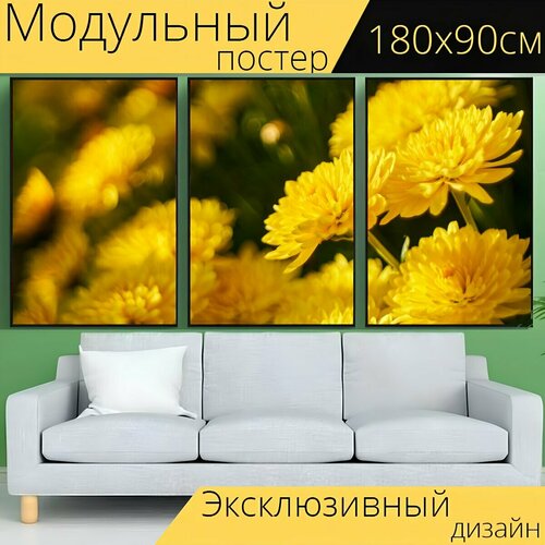 Модульный постер "Хризантемы, желтые цветы, блум" 180 x 90 см. для интерьера