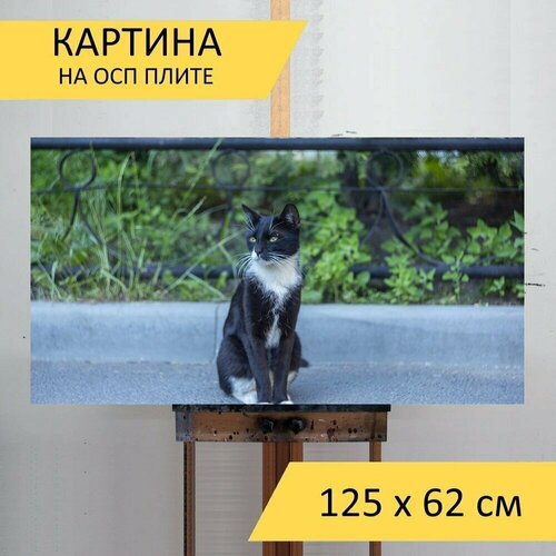 Картина на ОСП 125х62 см. "Кот, кошка, дети" горизонтальная, для интерьера, с креплениями