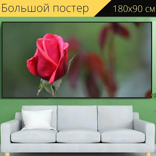 Большой постер "Красная роза бархат, символ любви, романтичный" 180 x 90 см. для интерьера