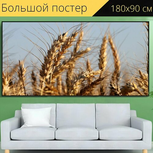Большой постер "Сельское хозяйство, пшеница, завод" 180 x 90 см. для интерьера