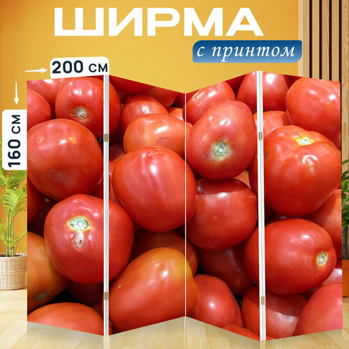Ширма перегородка с принтом "Свежий, помидор, овощ" на холсте - 200x160 см. для зонирования, раскладная