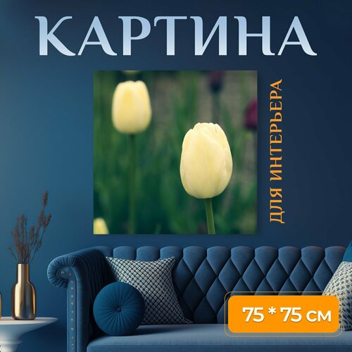 Картина на холсте "Флора, цвести, тюльпаны" на подрамнике 75х75 см. для интерьера