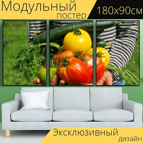 Модульный постер "Овощи, садовник, овощной сад" 180 x 90 см. для интерьера