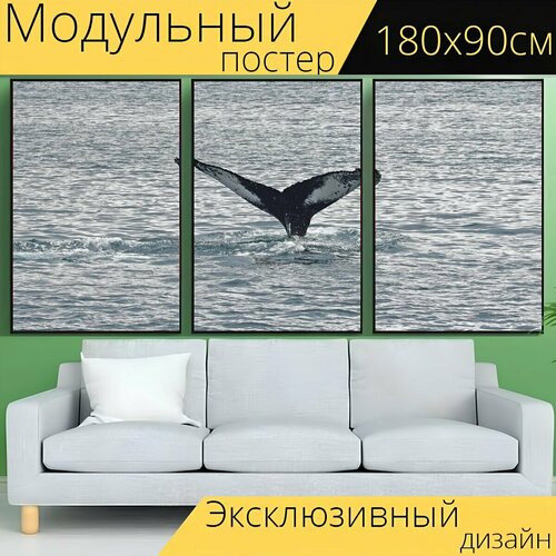 Модульный постер "Кит, горбатый кит, горбатых китов" 180 x 90 см. для интерьера