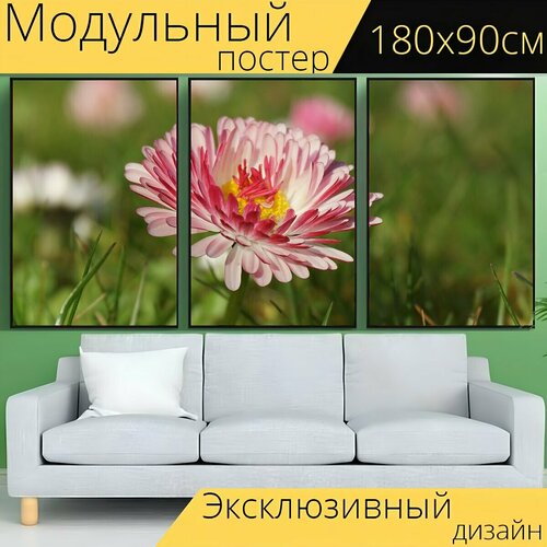 Модульный постер "Красочная ромашка, полевые цветы, цветы весны" 180 x 90 см. для интерьера